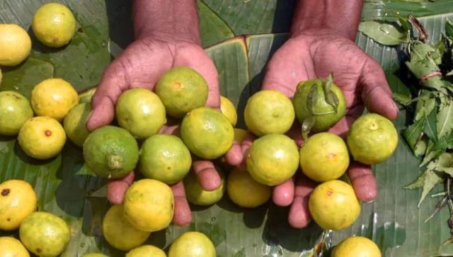 Why lemons are so costly