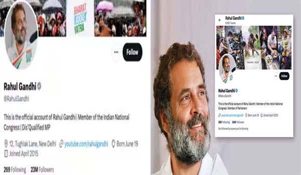 Rahul Gandhi changes X bio: 'Dis'Qualified MP' replaced with Member of Parliament